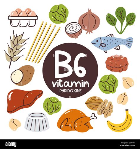 Vitamin B6 Stock Vector Images Alamy