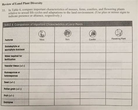 Solved Compare Important Characteristics Of Mosses Ferns Chegg Com