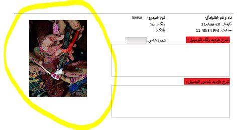 how to display a image on my report based on combo box selection