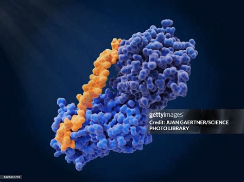 Heparin Antithrombin And Thrombin Complex Molecular Model High Res Vector Graphic Getty Images