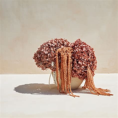For Love Of Pampas On Instagram New Preserved Brown Hydrangeas And Hanging Amaranthus In Low