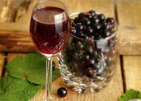 Вино из черной смородины в домашних условиях: рецепты