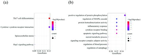 Kegg And Go Enrichment Analysis Of 33 Overlapped Genes By Metascape