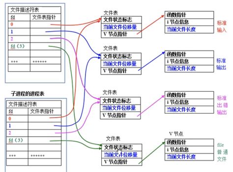 进程控制 父子进程 c 父进程 csdn博客