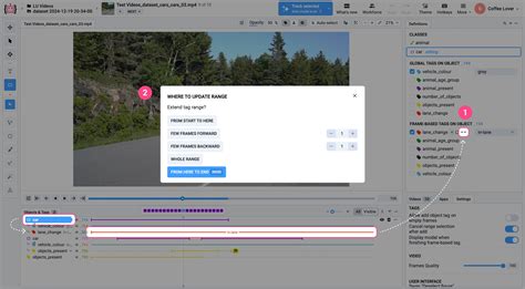 Frame Based Tagging Supervisely