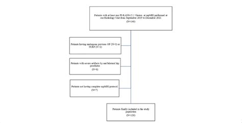 Flowchart For Patient Selection Pi Radsv2 1 Prostate Imaging