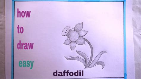 How To Draw Daffodil Flower Easy Daffodil Flower Drawing YouTube