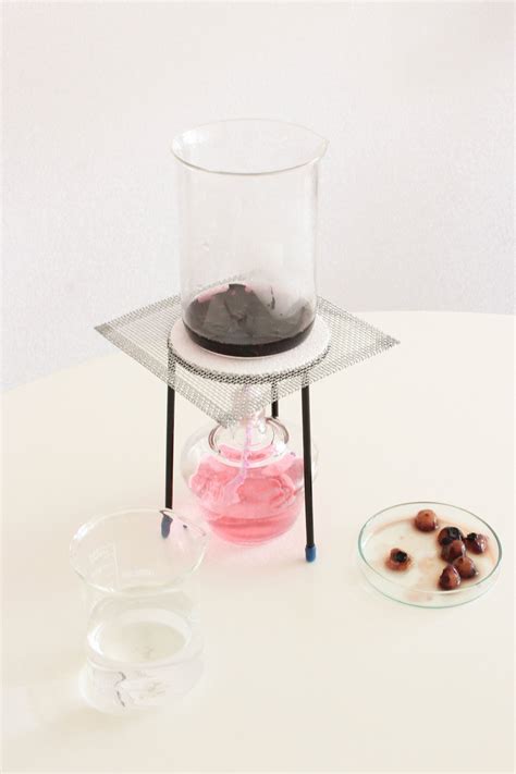 Margarita Talep Develops Algae Based Alternative To Single Use Plastic