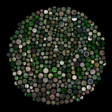 Jenny Odell S Google Art Satellite Collections WITNESS THIS