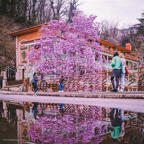 ქუთაისელები ქუთაისის კოლორიტი ️🌺🌺 ქუთაისი Kutaisi ♥