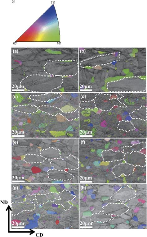 the ipf components obtained by ebsd phase mapping for characterizing