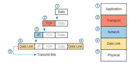 introduction to networking flashcards quizlet