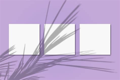 자연광은 분홍색 질감의 배경에 놓여 있는 흰색 질감의 종이 3장에 종려나무 가지에서 그림자를 드리웁니다 모형 0명에 대한 스톡 벡터 아트 및 기타 이미지 Istock