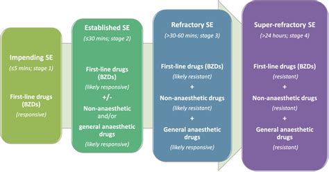 Stages Of Se According To Time And Responsiveness To Antiseizure Download Scientific Diagram
