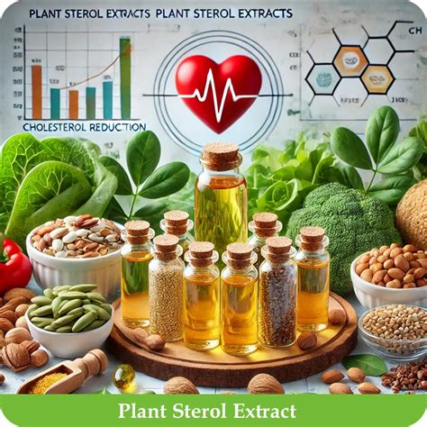 Plant Sterol Extracts Benefits Uses And Support Heart Health