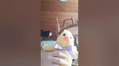 Whos The Real Choko Chicken Funny Comedy Relatable Memes Scary Youtube