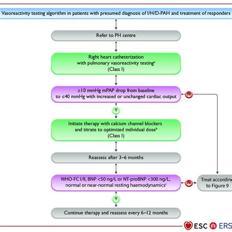 Pdf 2022 Esc Ers Guidelines For The Diagnosis And Treatment Of Pulmonary Hypertension