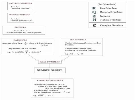 50 Classifying Real Numbers Worksheet Chessmuseum Template Library