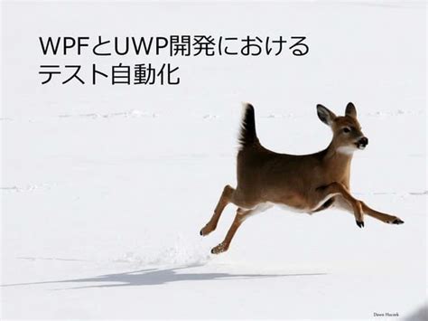 conf ppt