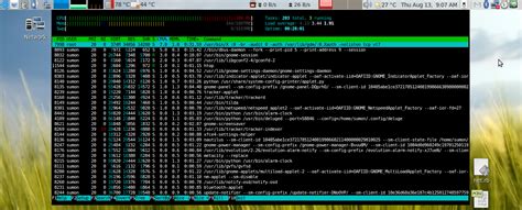 Linux CPU Usage Constantly At In Jaunty Laptop Super User