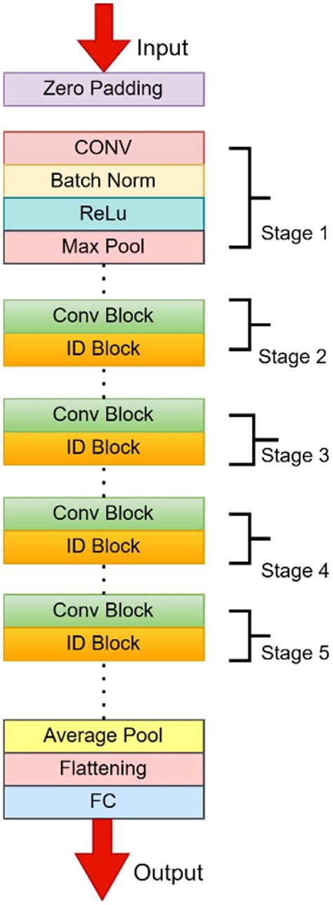 Figure 1 From Automated Detection Of Pneumonia Using Pre Trained