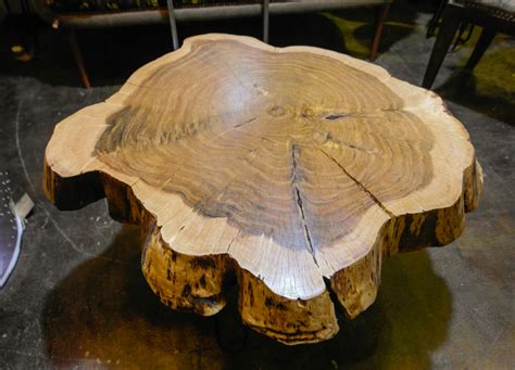 The Wakhan Acacia Log Raw Wood Center Table