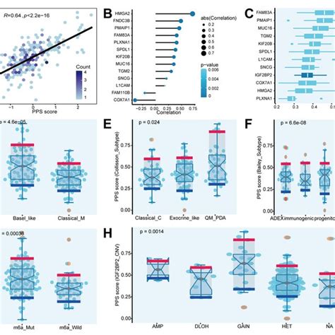 Exploration Of The Pps Related Molecular Subtype Characteristics A