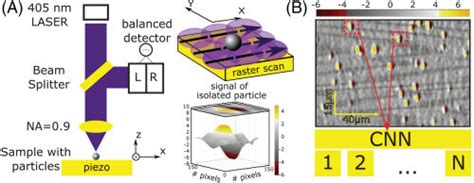 A Differential Detection Principle Left Schematic Of Setup Download Scientific Diagram