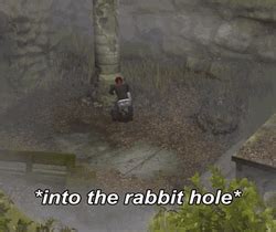 Into The Rabbit Hole 