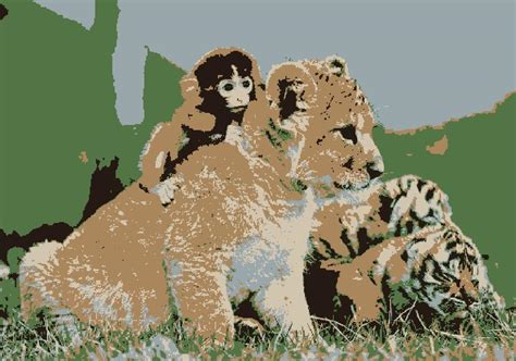 Matlab Color Quantization Of An Image Using K Means Clustering Using