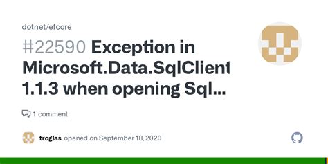 Exception In Microsoft Data SqlClient When Opening Sql Server Connection When Run From The