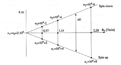 Figure 1 10 From Mri Tissue Perfusion Quantification Mr Sequence