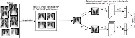 Table 1 From Self Supervised Deep Convolutional Neural Network For