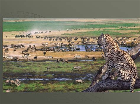 Презентація до уроку географії у 7 класі Обєкти спадщини ЮНЕСКО Африки