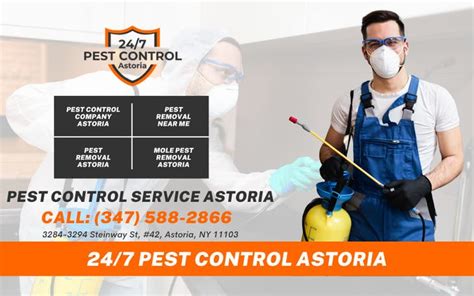 Queens Exterminator 247 Pest Control Queens Ny Patch