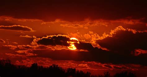 Potd 11 12 23 Potd On Godubois