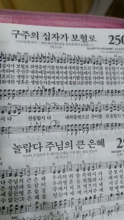 구주의 십자가 보혈로 찬송가 250장 Youtube
