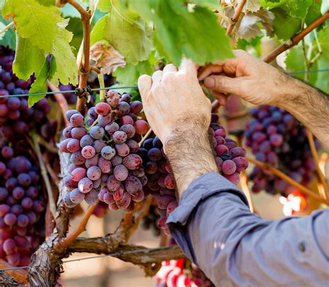 Company Overview Ftt Quality