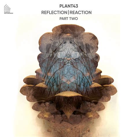 Reflection Reaction Part Two Plant43