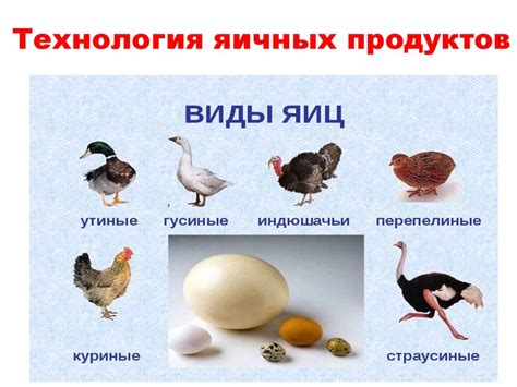 Технология яичных продуктов. Виды яиц - online presentation