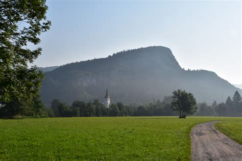 무료 이미지 경치 나무 자연 숲 잔디 구름 안개 들 목초지 햇빛 아침 언덕 산맥 평원 고원 서식지 농촌 지역 지리적 특징 대기 현상
