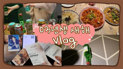 Vlog 03년생 새해 브이로그🍻 음주로그 술 Vlog 음주 브이로그 나도 이제 성인 민증검사 파티룸 해피뉴이어 10대 끝 술게임 20대 시작