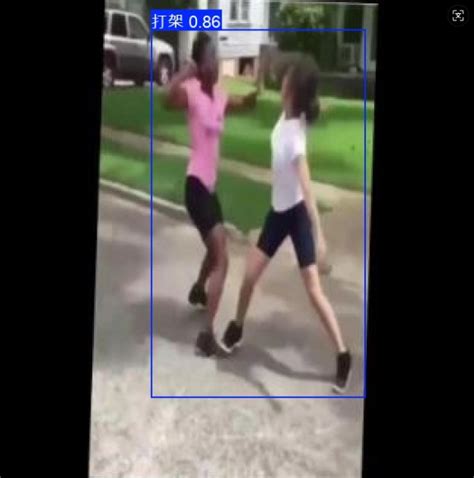 基于yolov8的打架斗殴暴力行为智能识别项目源码（目标检测） 申公豹本豹 博客园