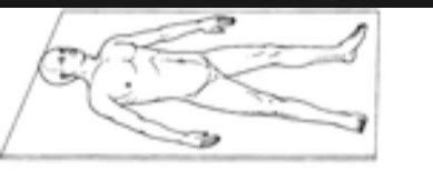 Chapter 1 DMS 101 Flashcards Quizlet