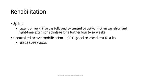 Extensor Tendon Lecture For Ot 2022 No Audiopptx Free Download