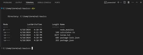 Vscode 集成终端 菜鸟教程