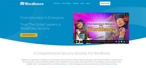 Your Best Wordpress Malware Removal Service Options In