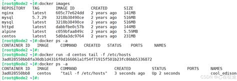 Docker镜像的手动制作commitdocker Commit构建镜像的过程 Csdn博客