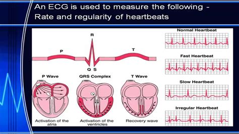 Electrocardiography Youtube