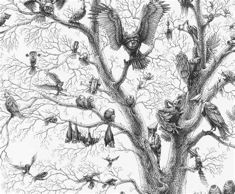 Tree With Birds Cross Hatching Art Print 420x297mm 16 5x11 7 Inches Surreal Black And White